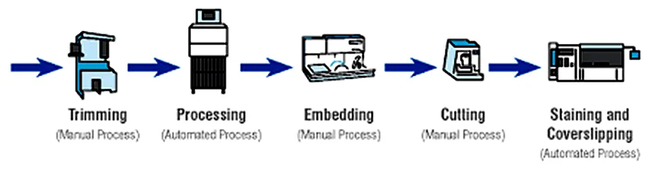 Automated Vacuum Infiltration Tissue Processor – Enhance Histopathology ...
